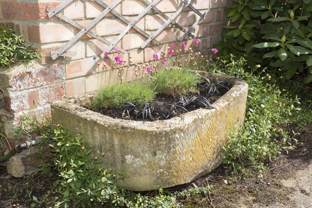 How to plant an alpine trough - Tyne Valley Garden Centre