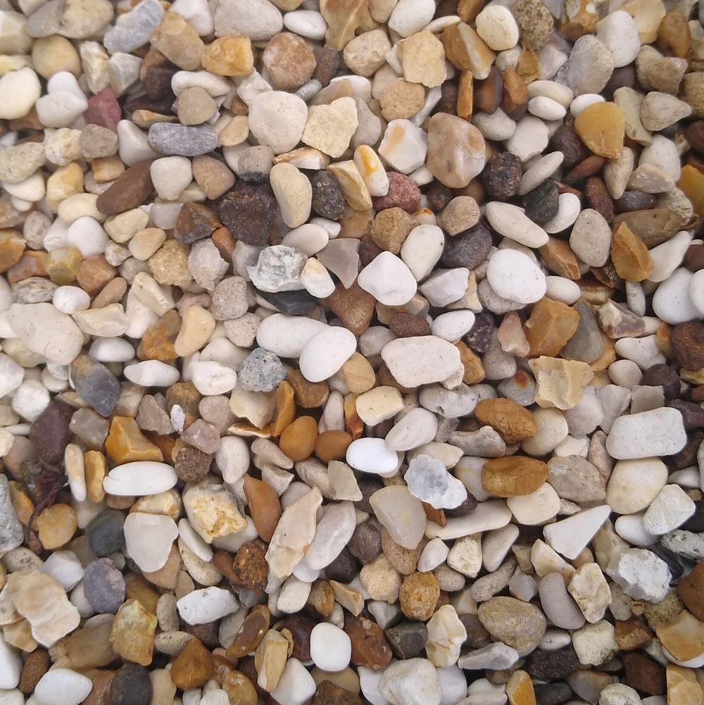 Alpine Gold 6mm - Tyne Valley Garden Centre